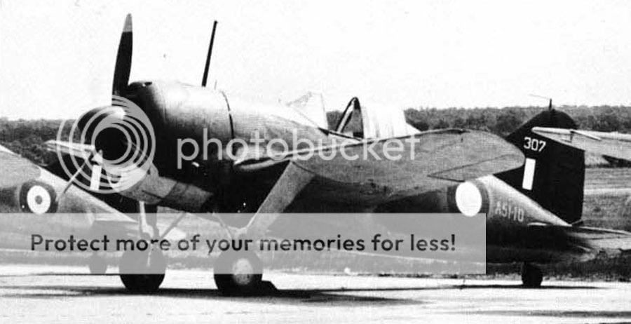 Special Hobby Brewster Buffalo 339, 25 SQN RAAF, 1942 - Ready for ...