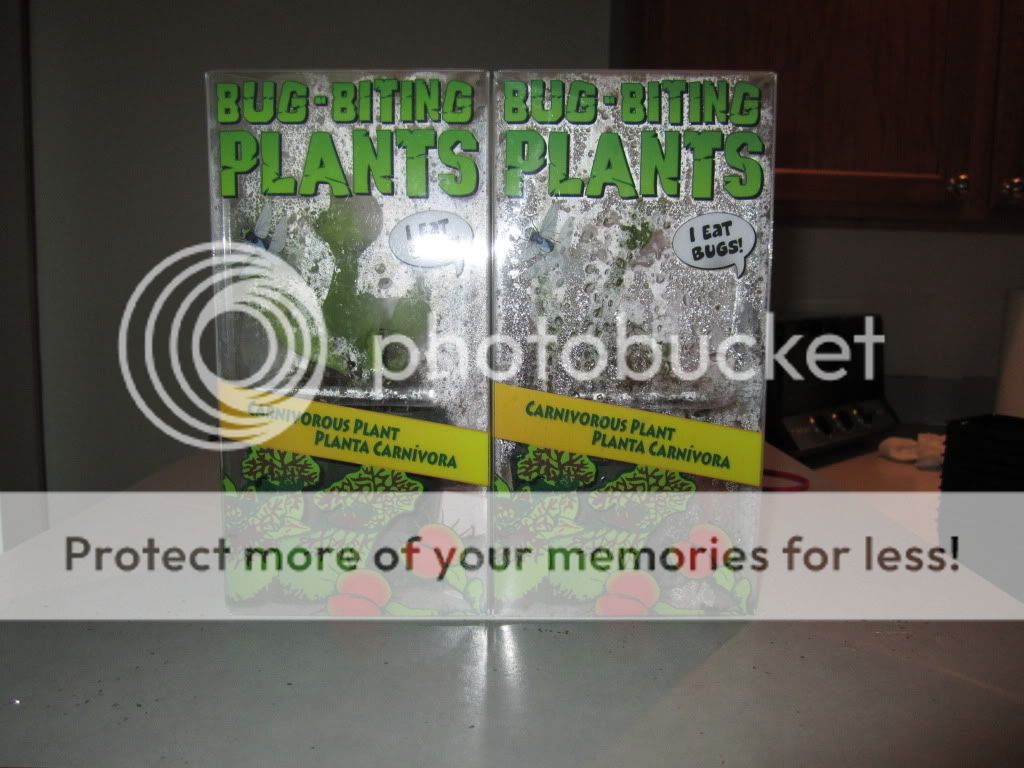 Flytrap and S. Purpurea from Lowes - FlyTrapCare Forums